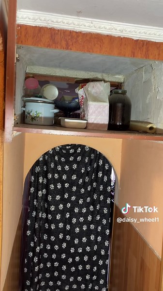 Клининговые советы для новой жизни