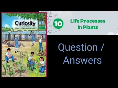 Life Processes in Plants | chapter 10 | class 7 | science | ncert | cbse | 2025 | curiosity