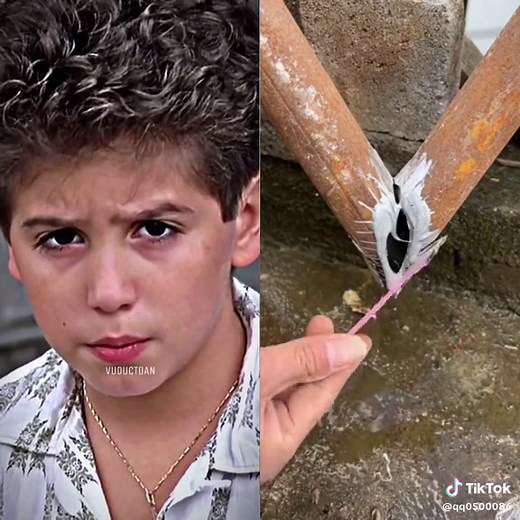 Rusty Metal Restoration Tips Using Foam Treatment