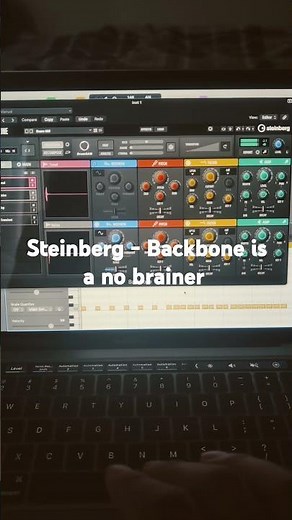 #steinberg #backbone #logicprox
