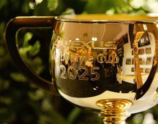 Melbourne Cup 2025 – Field, Horses, Form Guide, Replays, Odds, Tips & Winners | Just Horse Racing