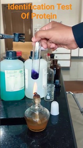 Protein Identification Test| Ninhydrin Test