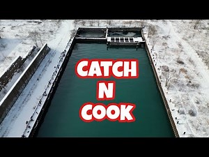 Chicago Perch Fishing | North Slip Catch N Cook