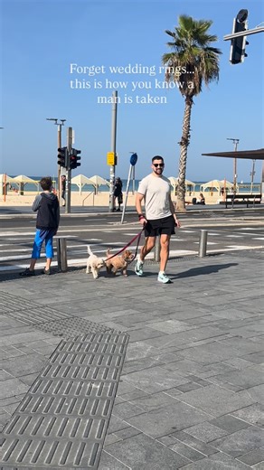 Simba + Nala Cavapoochon Duo on Instagram: "doodle dad > wedding ring energy #dogdad #dogdadlife #doodledad #doodledogs"