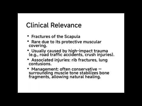 Clinical Relevance of SCAPULA BONE Explained!!