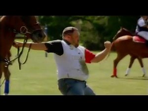 Witless Protection (2008) - TV Spot 6 (Fri. Feb. 22)