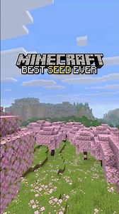 PERFECT Minecraft Seed (SUPER RARE)
