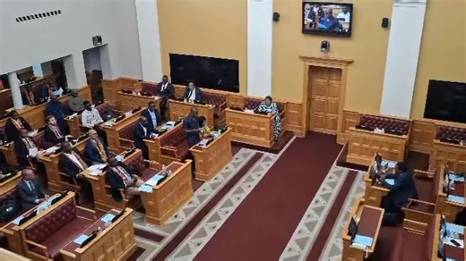 Discrimination… Affirmative Repositioning president Job Amupanda expressed worry about state-owned enterprises not posting salary scales on job advertisements. He told parliament today that this results in employees doing the same job receiving different salaries on racial and other discriminatory grounds. Video: Rudolf Gaiseb | New Era Newspaper