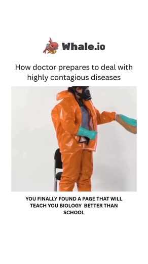 BIOLOGY | MEDICAL | HEALTH on Instagram: "How a doctor prepares for dealing with highly contagious diseases involves careful training, strict safety protocols, and specialized equipment. Doctors learn to use protective gear like masks, gloves, and suits to prevent infection. They follow hygiene practices and isolation procedures to keep themselves and others safe. Understanding the disease and staying updated on treatments is also essential for effective care. Dm for credit or removal👏🏻🙏🏻 Fo