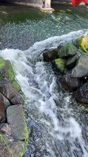 Astuces du Panda on Reels