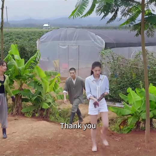 Exploring Chinese Dramas: A Look at Dear Mr. Recluse