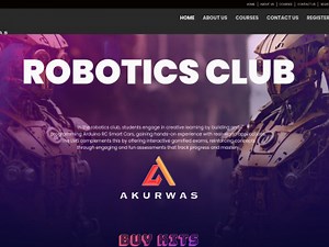 A Custom UI/UX Design for Seamless User Experiences