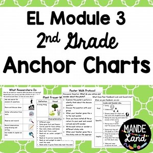 EL 2nd Grade ANCHOR CHARTS Module 3