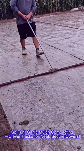 So Fun! Garlic Mulch Compacting—Clever Hacks for Neat, Secure Covers!