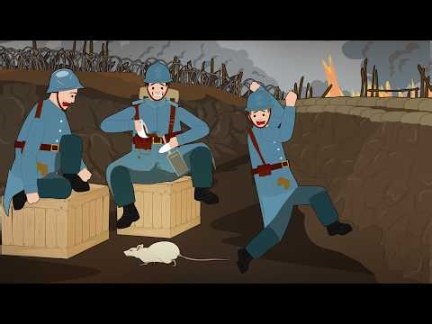 What You Should Never Assume About the French in War