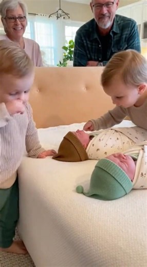 Their First Reaction to the Newborns Is TOO CUTE 😂💛 #tranding #funny #viralshorts #viralvideo