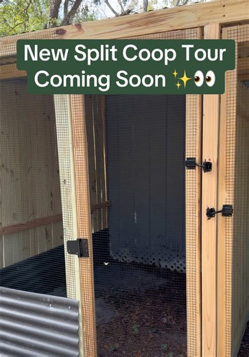 Building a Split Coop for Backyard Chickens