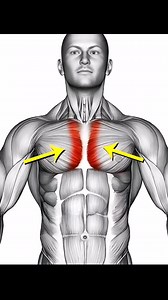 5.6K views · 132 reactions | Best Chest Workout for a Chiseled Inner Chest Line: Build Strength, Define Pecs, and Sculpt Your Upper Body with These Powerful Exercises! #waitandwatch #7 #Fitness #motivation #MakeYourselfAPriority #anytimefitnessgymrates | LiftLegend Gym | Facebook