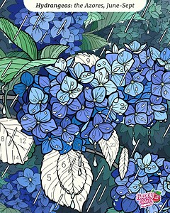 215K views · 4.5K reactions | Spring is painting the world in vibrant...