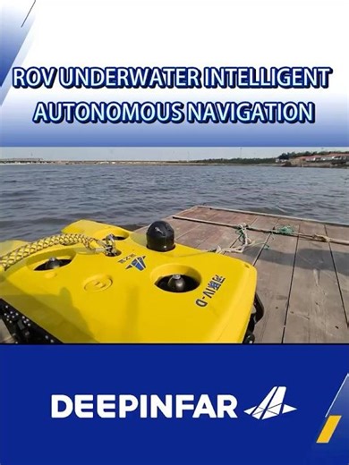 Autonomous Area Scanning with Deepinfar ROV | Smart Polygonal Path Planning