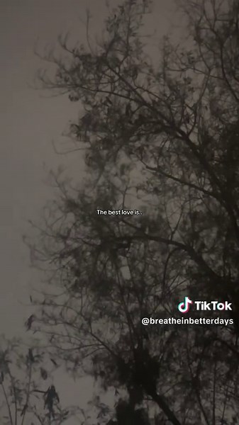 The Notebook: A Timeless Love Story