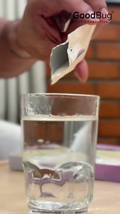 93K views · 16 reactions | Hectic managing your diet? Worried, if you are getting all nutrients important for digestion? Metabolically Lean by The Good Bug provides the right combination of Probiotics + Fiber to help improve digestion and increase your metabolism. | The Good Bug | Facebook