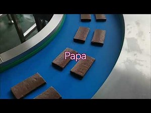 Testing video for Papa P308 dates bar extruder machine with hopper heating and cooling function