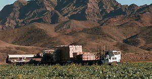 Researchers look to solve food production challenges due to climate change