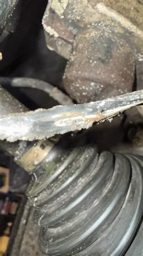 Client complains of a ABS and Traction Control light on. Yes there is definitely a problem and its because the sensor was not properly secured. This sensor was just riding on the axle causing it to short out and lights to trip. Befides the sensor we need to replace the wheel bearing and the damaged sensor. Call us for all your automotive repair needs. #ceglarz #ceglarzmotors #ctnow #bestshop #abs | Ceglarz Motor Repair & Sales, Inc.