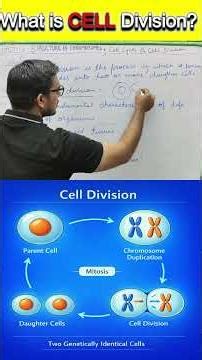 What is CELL Division? #youtubeshorts#shorts #biology #shortvideo #ytshorts #viral #shortsvideo