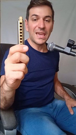 HARMONICA HANDS AND MICROPHONE #harmonica #shorts