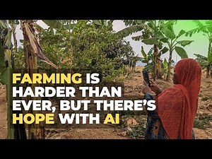 How Surveillance & Solutions are Protecting Crops: FAW, BBTV, and Biochar Success Stories in Africa