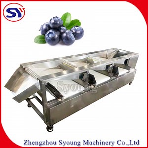 [Hot Item] Stainless Steel Fruit Sorter Blueberry Sorting Machine