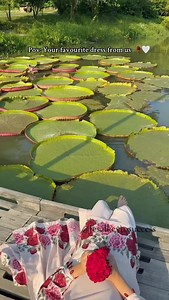 I’m in love with this dress..🥺 Code - She 🥀 Exclusive Embroidery Farshi Salwar set Stitched with dupatta Cash on delivery all over Bd! Colour: Cream Material: Luxury Shaded Silk Dupatta- Shaded silk with embroidery! All sizes are available! Kurti length - 38 Pant length-39-40 For order inbox us! Pls note do not use our pictures/video without our permission!!! | Jesal Key To Success