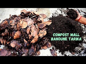 How To Make Leaf Compost At Home Easily I Pabitra Garden
