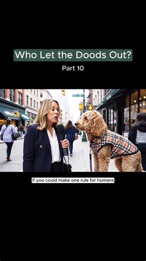 Elina and Oscar | Dood Woof on Instagram: "Who raised these Doods 😫 #doodles #doodlegrooming #goldendoodle #doodlesofinsta #cockapoo"