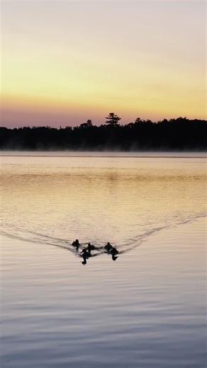 Exploring Bobcaygeon at Sunrise in Ontario, Canada