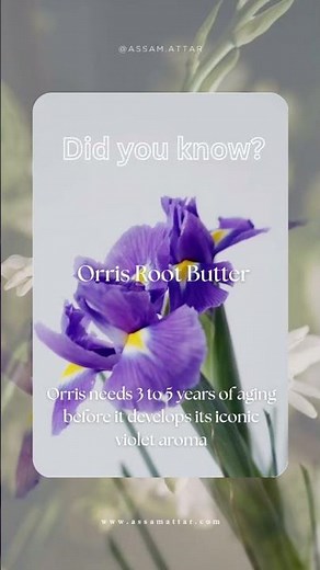 Did you know? Orris Root