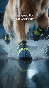 BlueJay Sneaks Denim Pet Boots — Style Meets Paw Protection 🐾 ✅ Denim-Inspired Outer Look – Trendy and rugged, perfect for style-conscious pups. ✅ Non-Slip Comfort – Secure tread for walking confidently on tiles, wet roads or rough terrain. ✅ Snug Everyday Fit – Adjustable straps keep boots in place even during zoomies. ✅ Breathable & Fresh Inside – Keeps paws cool and dry, indoors or out. ✅ Quick On/Off Velcro Closure – Easy to wear before walks, easy to remove after. ✅ From City Streets to Pa