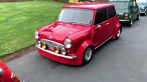 6.7K views · 118 reactions | Minis FOR SALE we have 22 minis for...