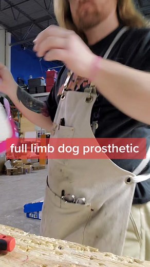 DIY Pink Prosthetic Leg for Dog