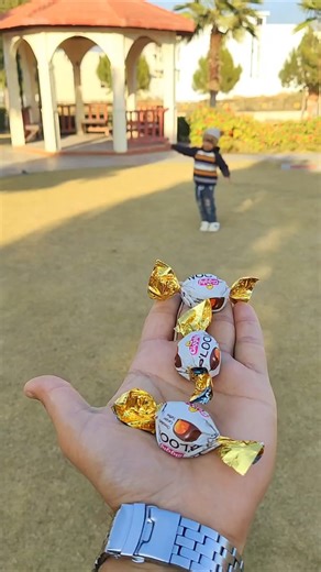 Chocolate Koun koun khaeyga 🍫🎁🍫#happy #shorts #viral #TwinJoyVibes