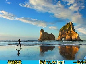 交换机链路聚合配置教程