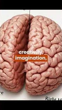 The Nervous System Explained Simply | Brain, Neurons & Signals