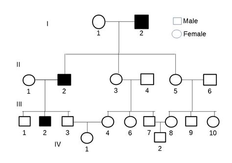 Autosomal Recessive Inheritance Pedigree