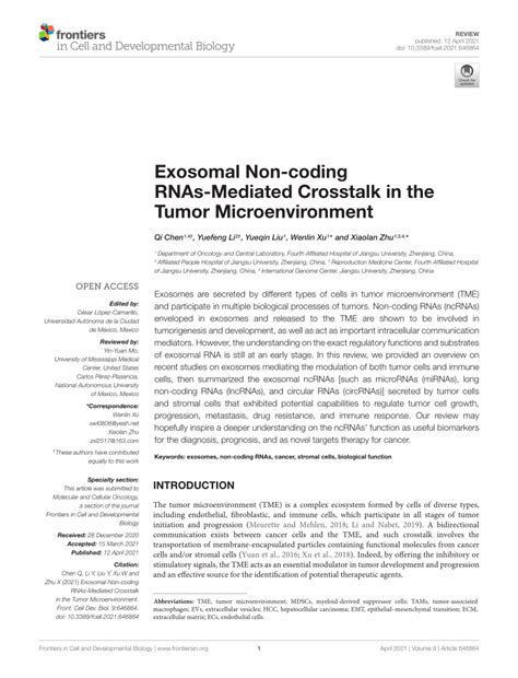 PDF Exosomal Non Coding RNAs Mediated Crosstalk In The Tumor