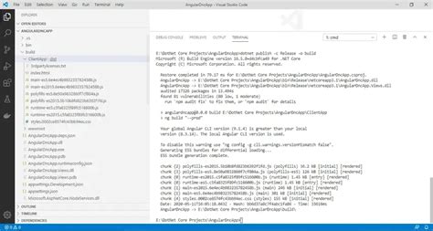 how to setup angular code in asp core project asp hosting reviews and guides