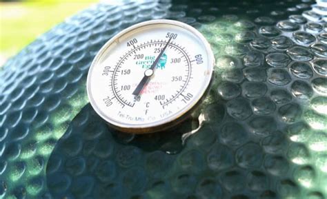 How To Grill On A Big Green Egg Vindulge