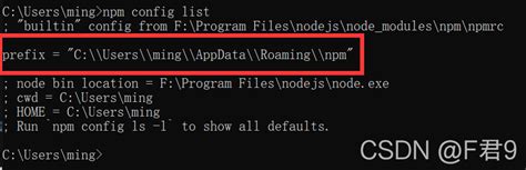 安装vue cli后查看版本显示找不到vue指令的解决 javascript 网络编程 编程客栈