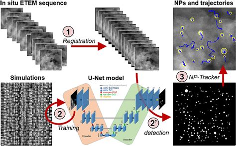 UNet Based Detection And Multiple Object Tracking Of Nanoparticles